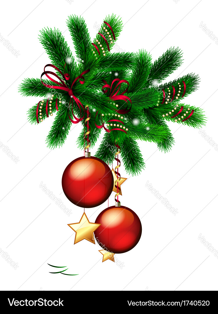 Branch of christmas tree Royalty Free Vector Image