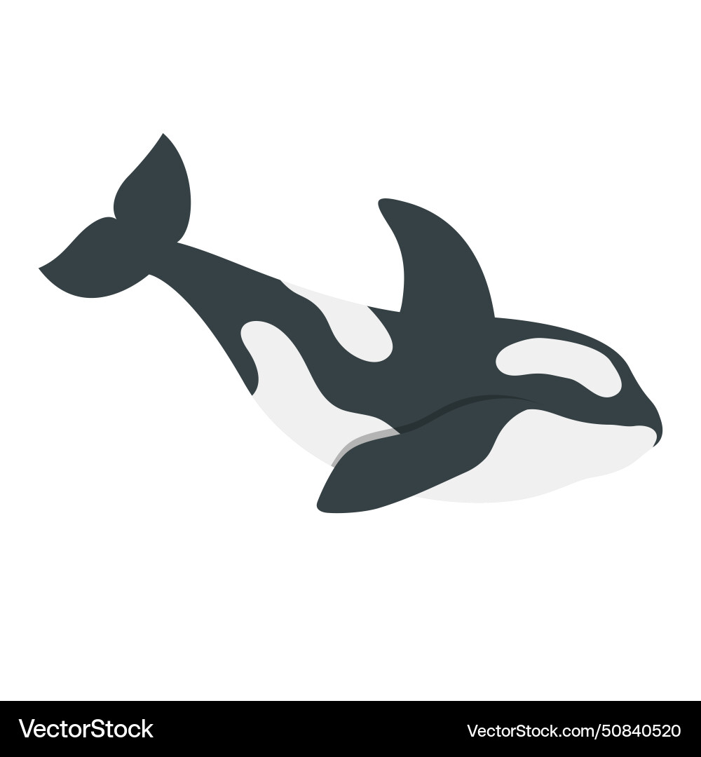 Cartoon hand drawn killer whale silhouette Vector Image