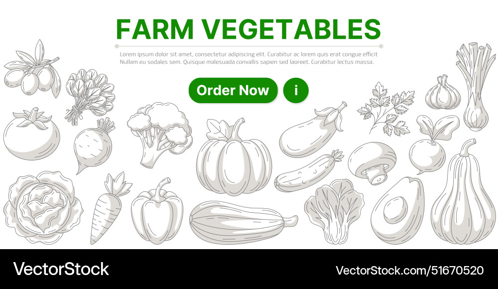 Farm vegetables icons composition infographics Vector Image