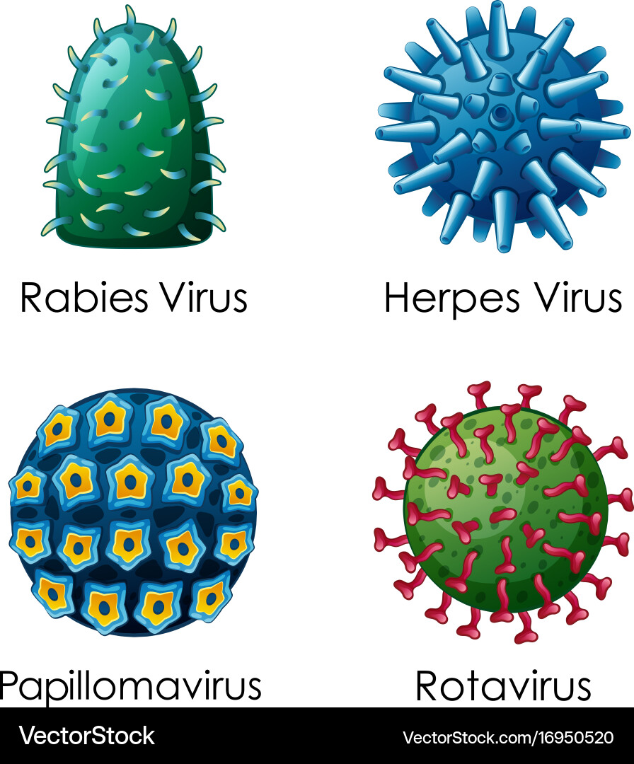 Vier Arten von Viren auf Poster Lizenzfreies Vektorbild