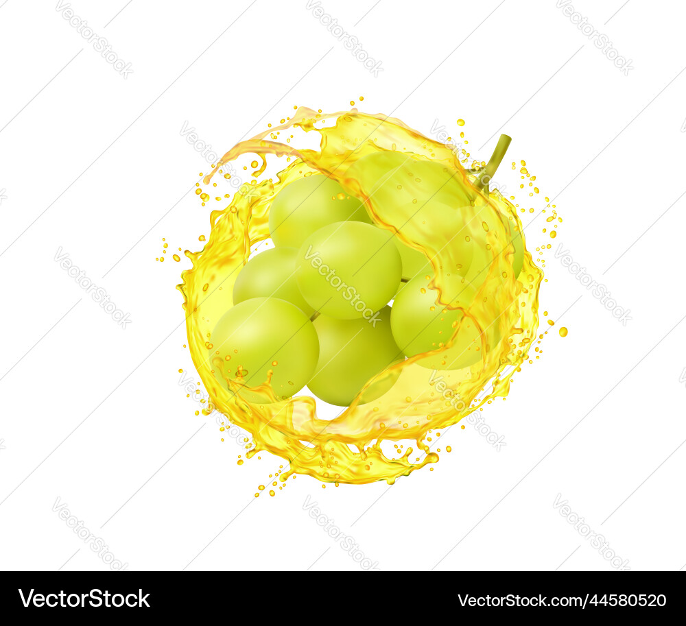Grape with juice splash green grapes bunch Vector Image