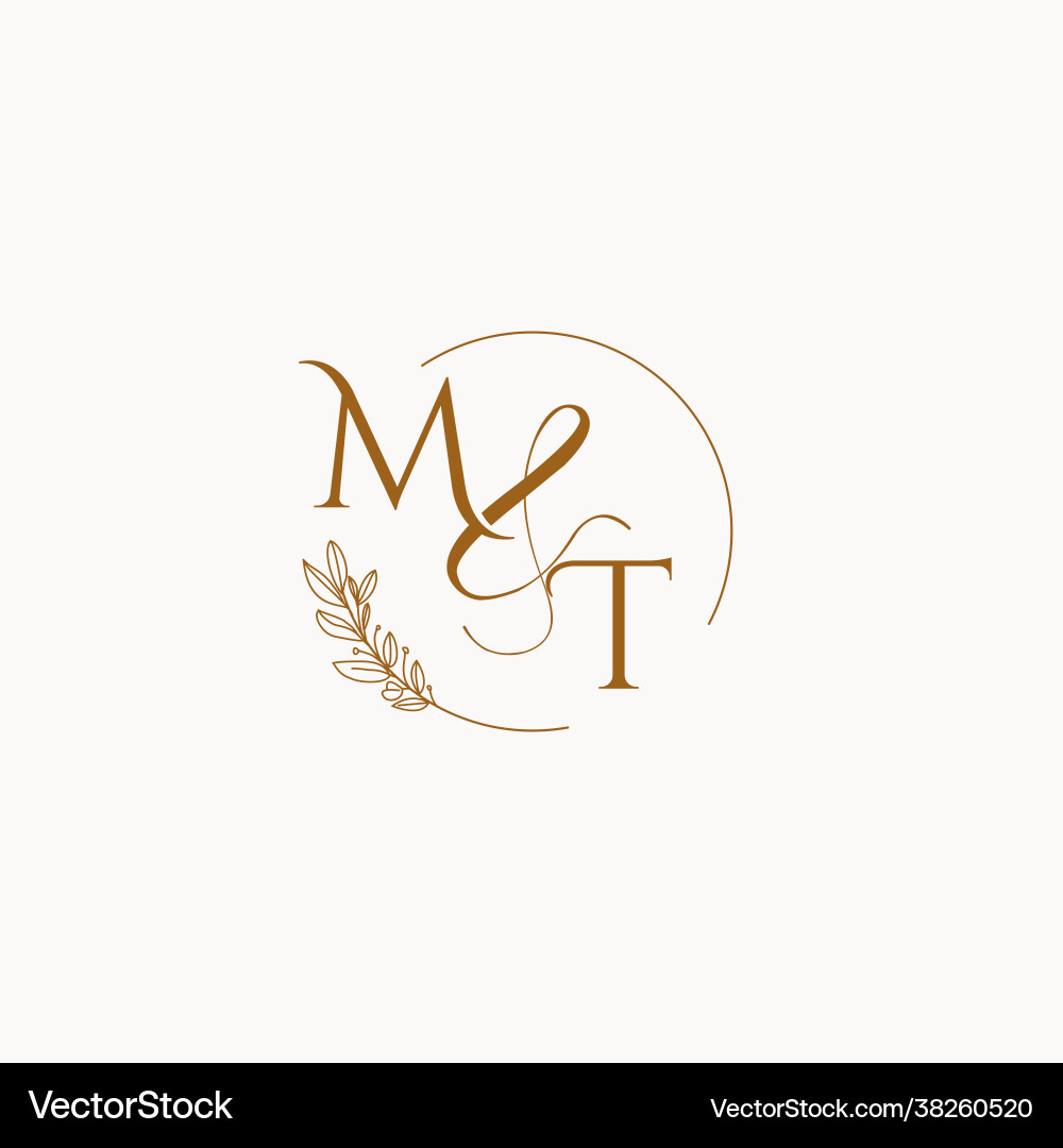Mt initial wedding monogram logo Royalty Free Vector Image