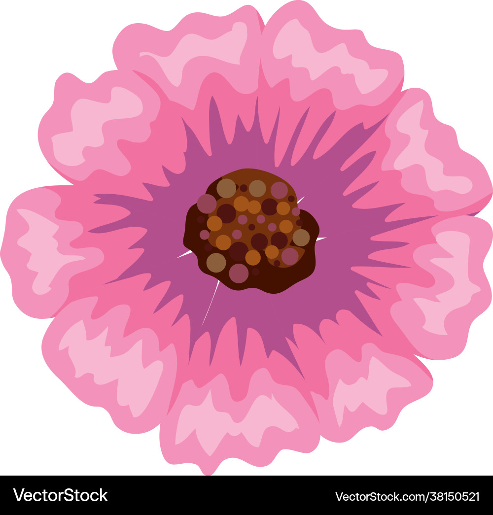 Isolated pink flower Royalty Free Vector Image