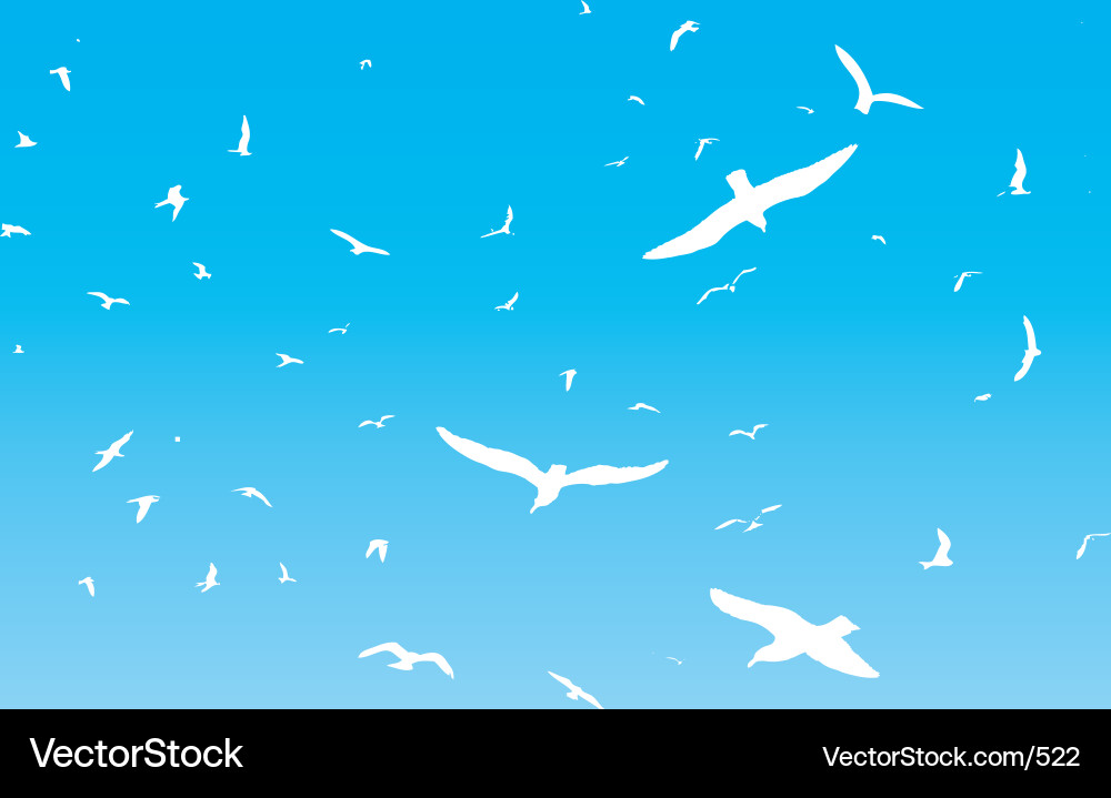 Free Seagull Vector Images (over 680)