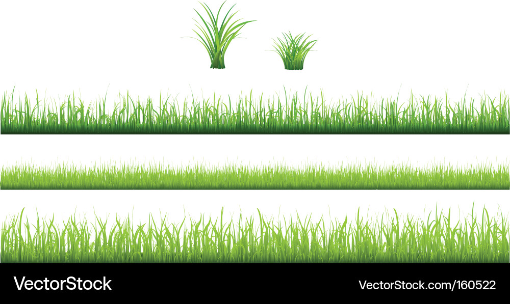 Grass collection Royalty Free Vector Image - VectorStock