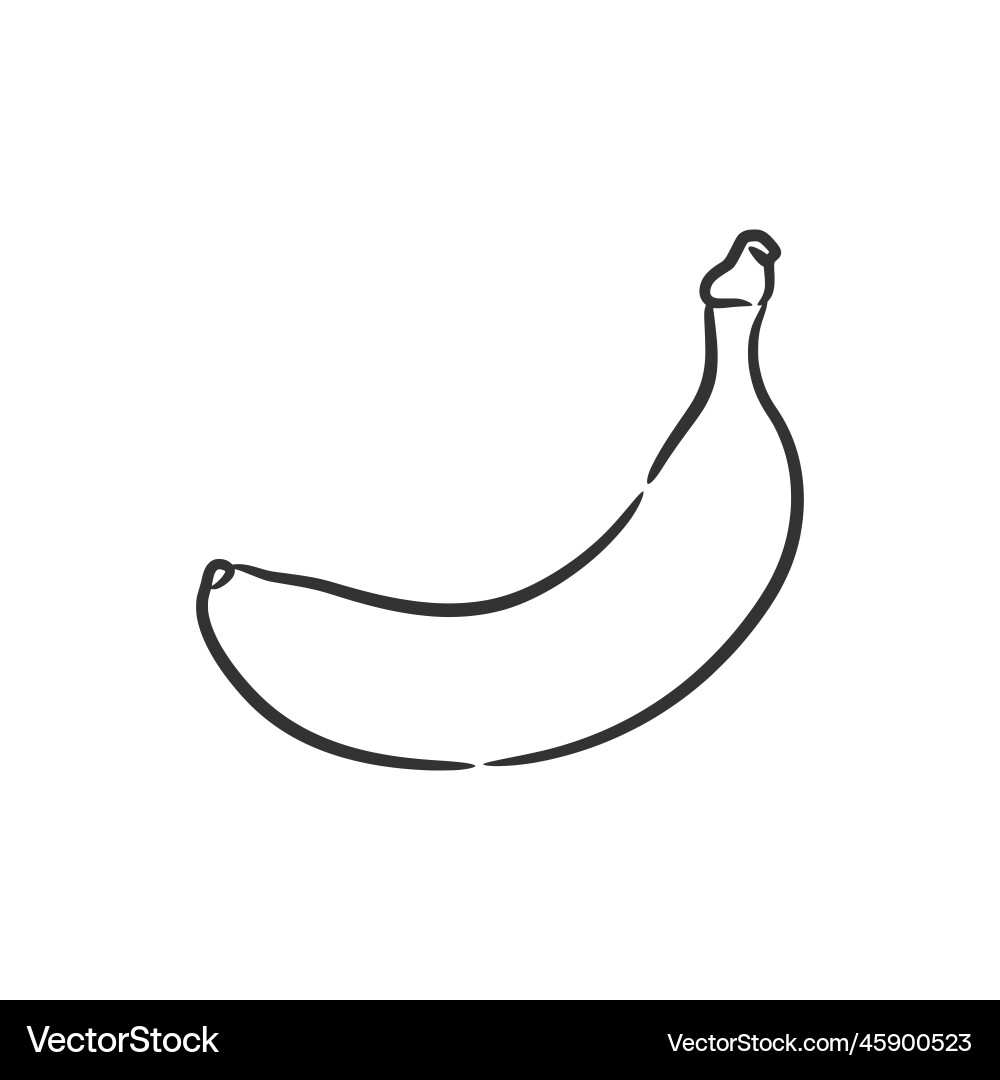 Banana line art Royalty Free Vector Image - VectorStock