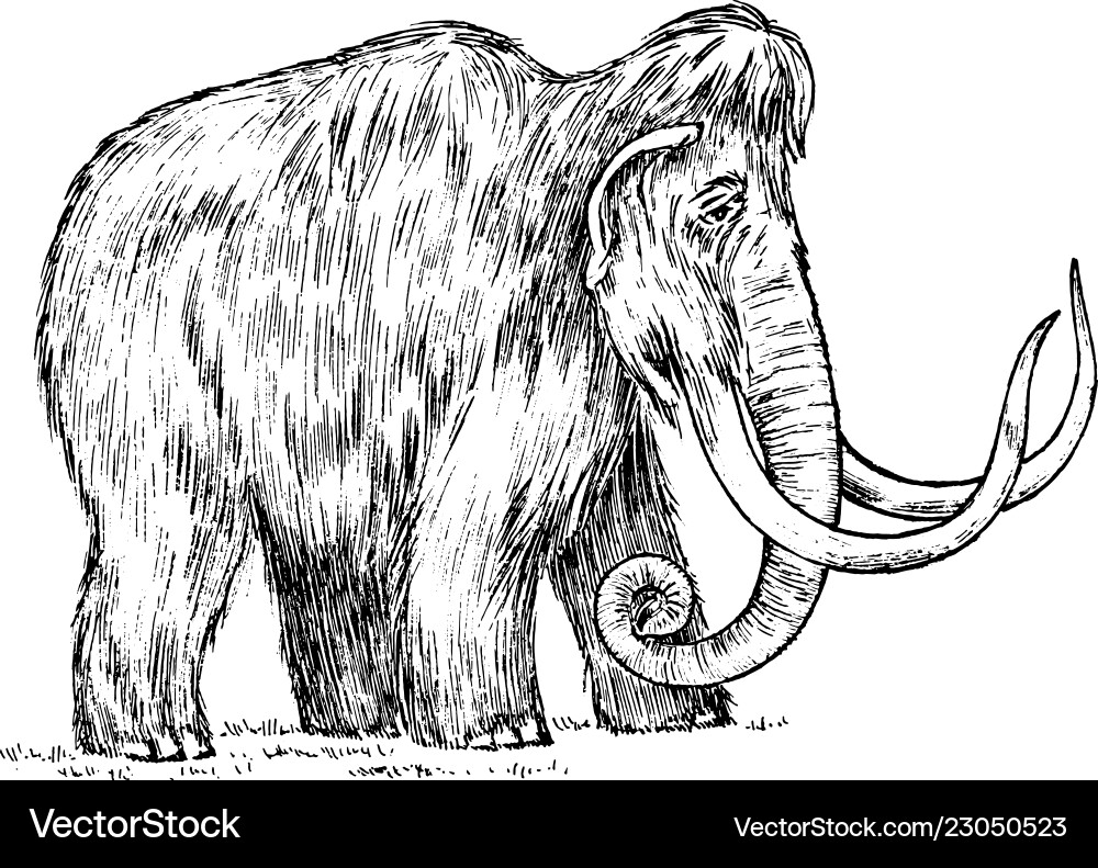 Big mammoth extinct animal ancestors Royalty Free Vector
