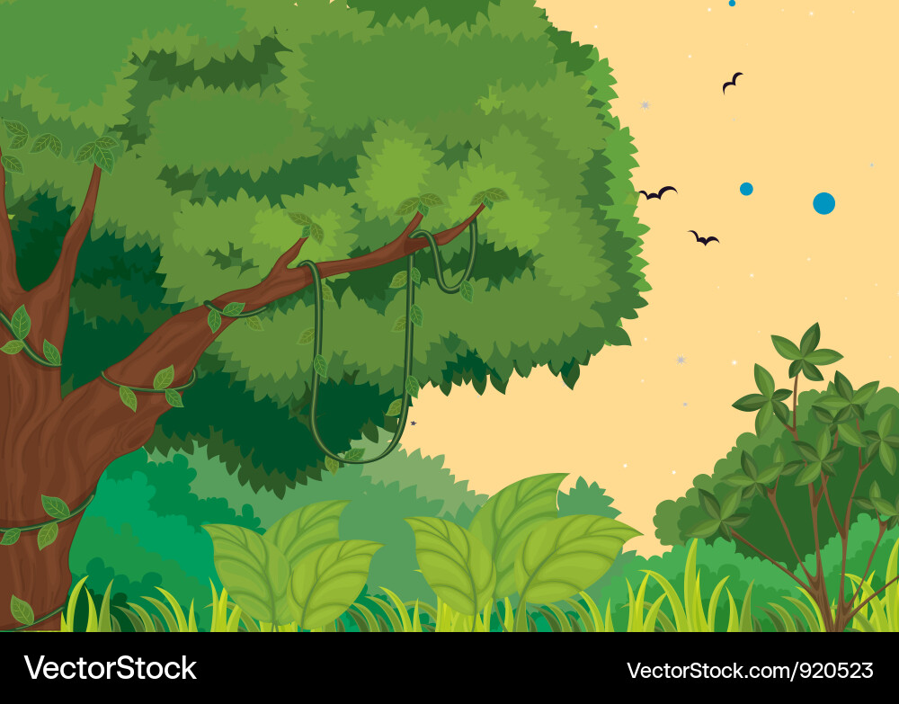 Forest Royalty Free Vector Image - VectorStock