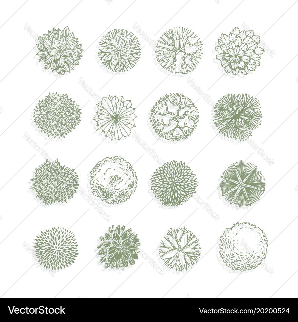 Different plants and trees set for landscape Vector Image