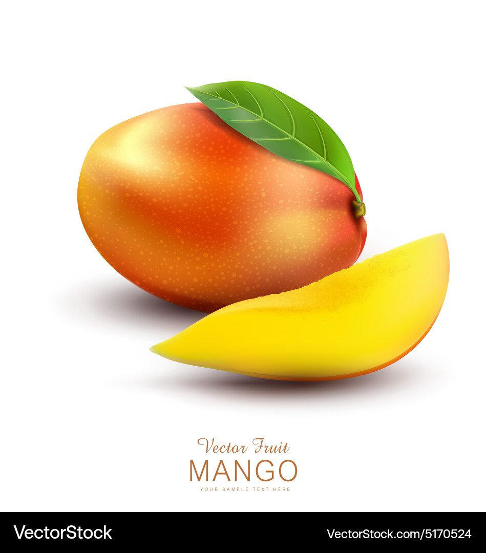Ripe mango fruit with slices on a white background