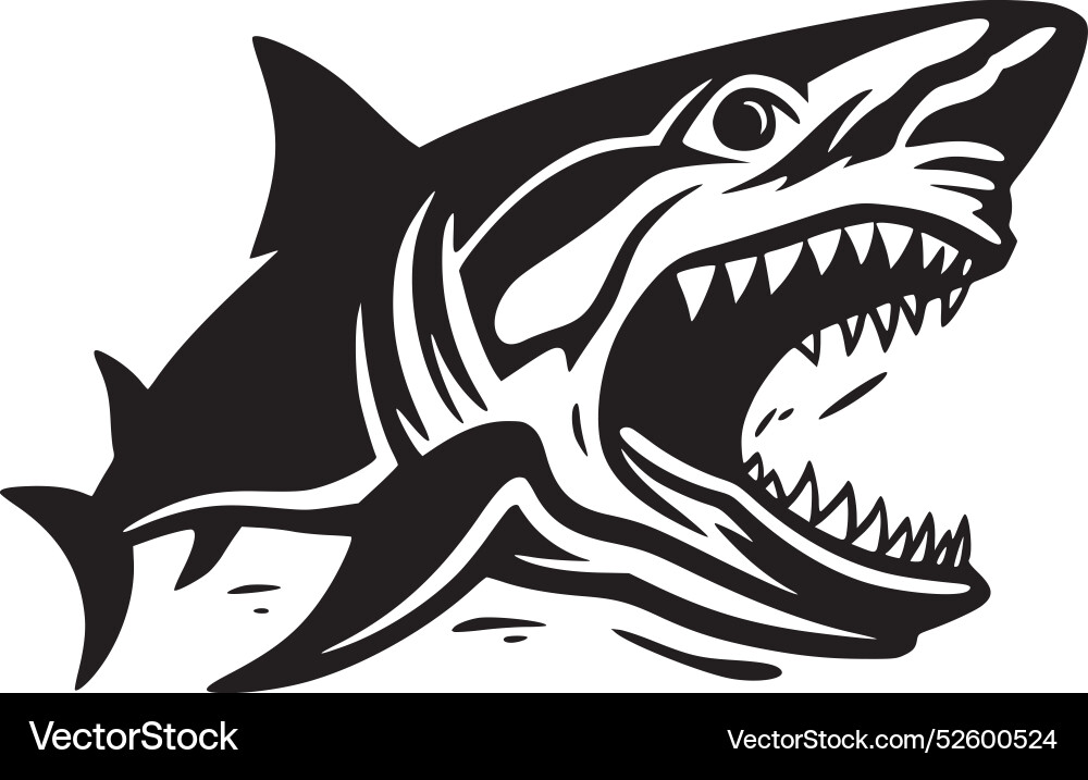 Shark - high quality logo - ideal for t-shirt Vector Image
