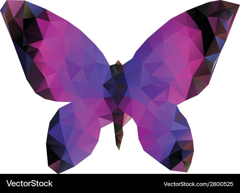 Polygonal butterfly Royalty Free Vector Image - VectorStock
