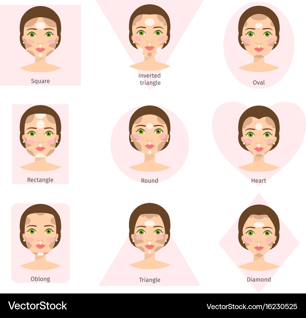Set of different woman face types Royalty Free Vector Image