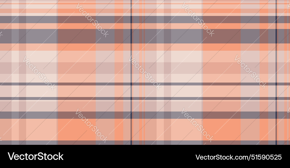 Stripe plaid tartan checked texture seamless Vector Image