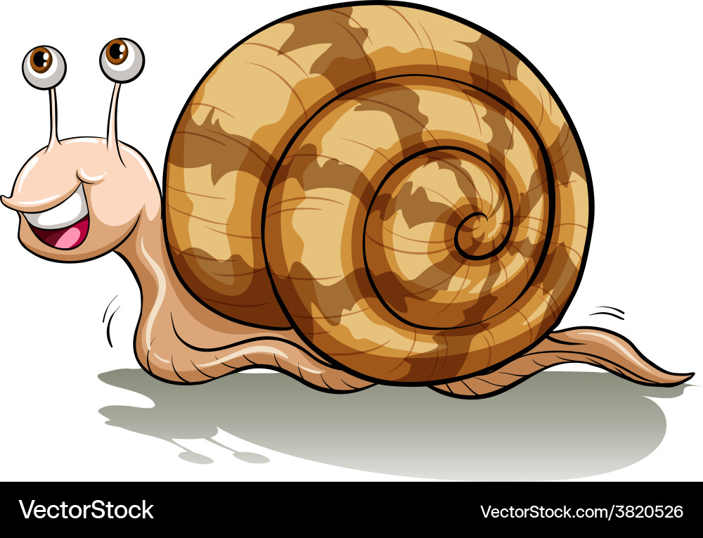 A slow snail Royalty Free Vector Image - VectorStock