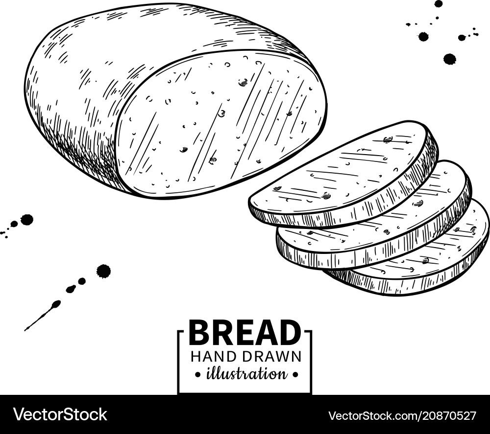 Bread drawing bakery product sketch Royalty Free Vector