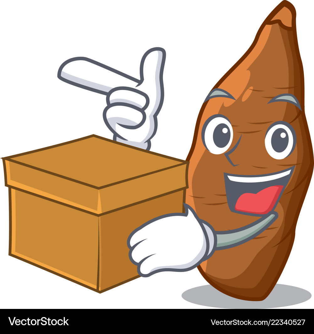 With box cassava root on the plate cartoon Vector Image