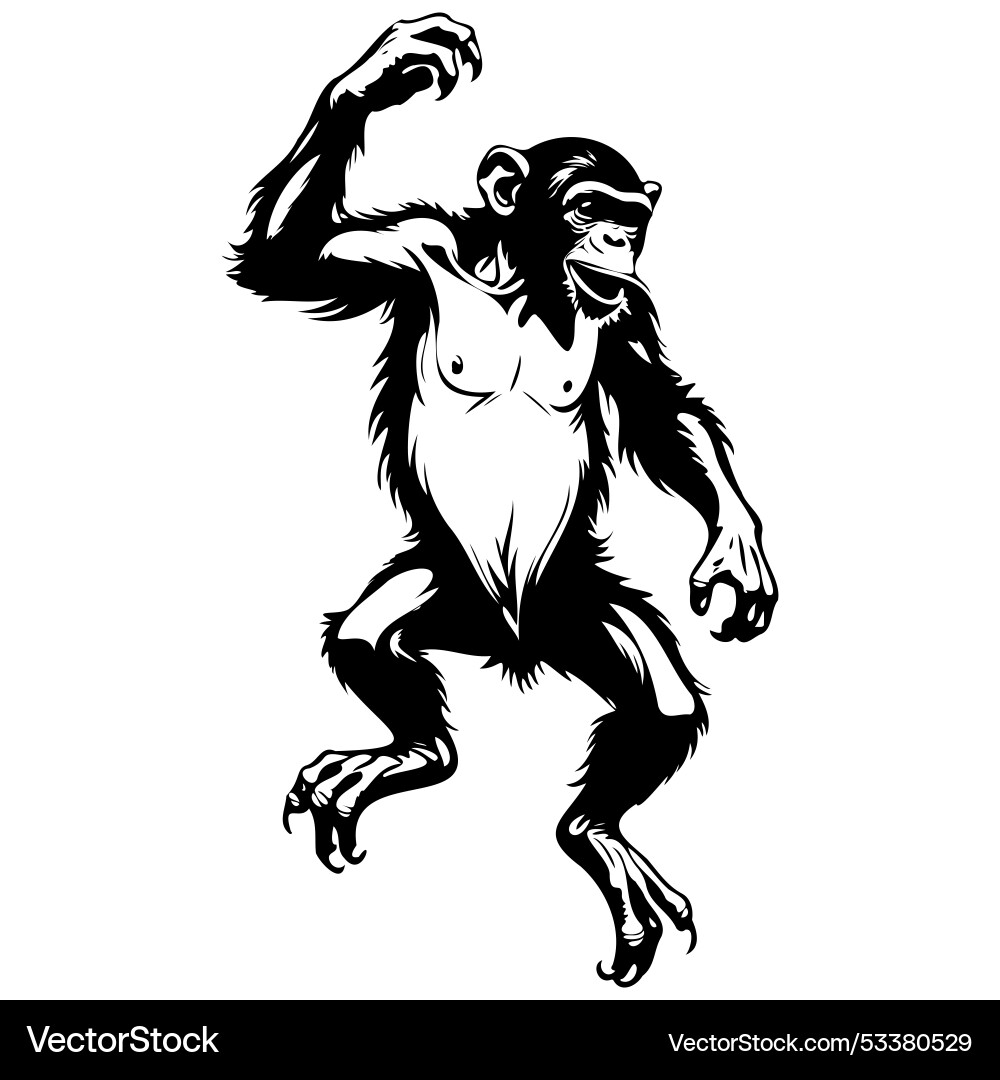 Bonobo jump isolated hand drawn animal Royalty Free Vector