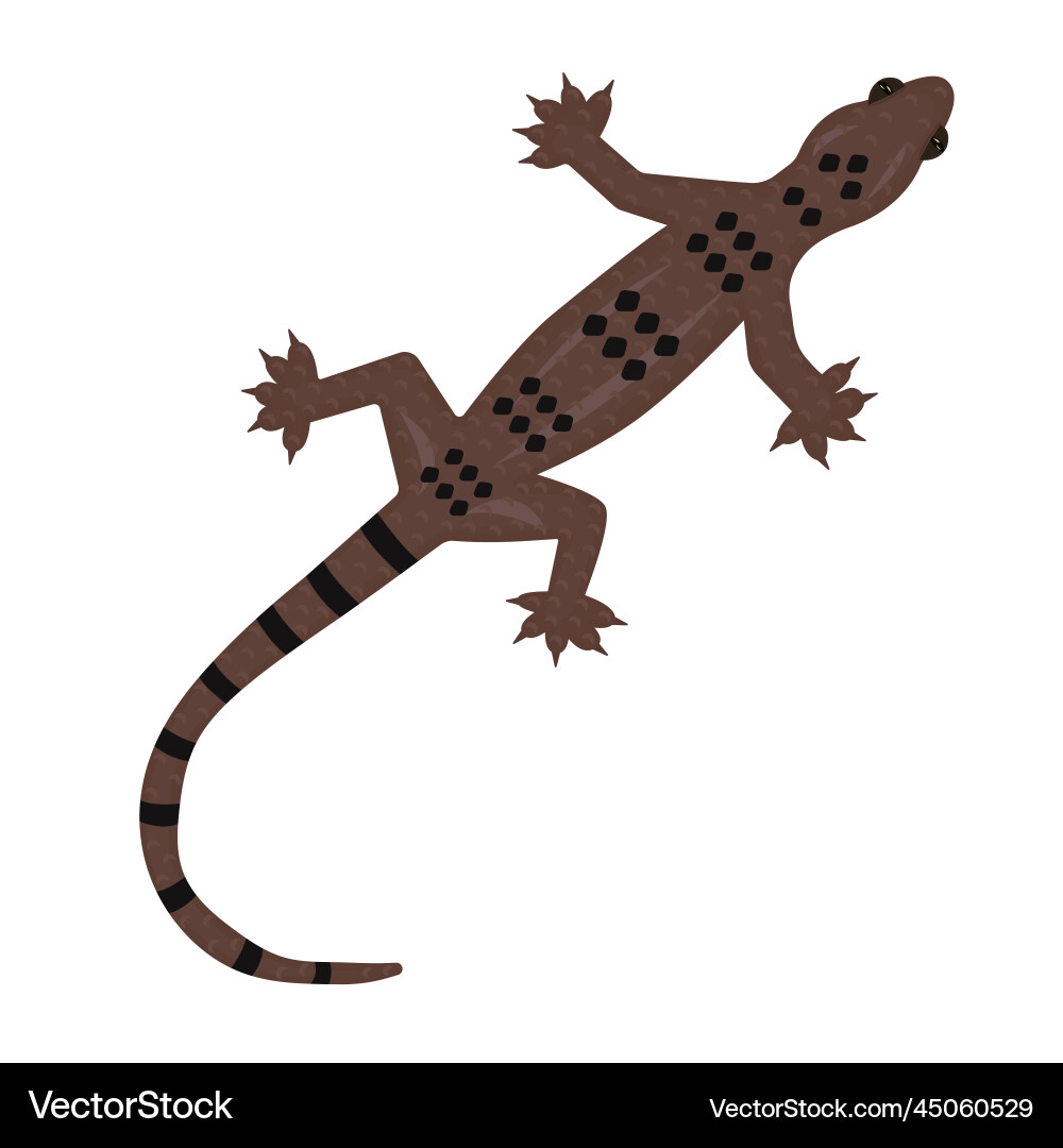 Gecko cute colorful Royalty Free Vector Image - VectorStock