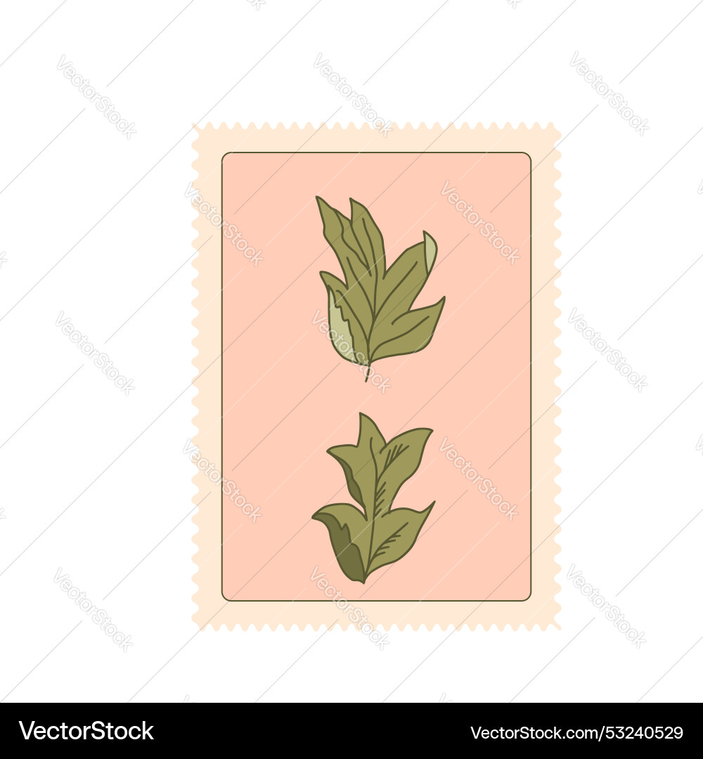 Leaves stamp rectangle sticker with plant hand Vector Image