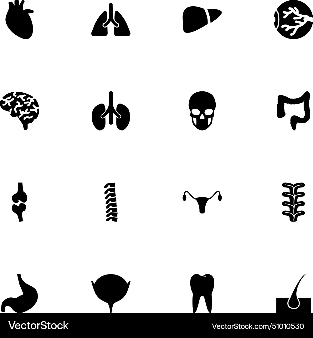 Organs icon - expand to any size change Royalty Free Vector