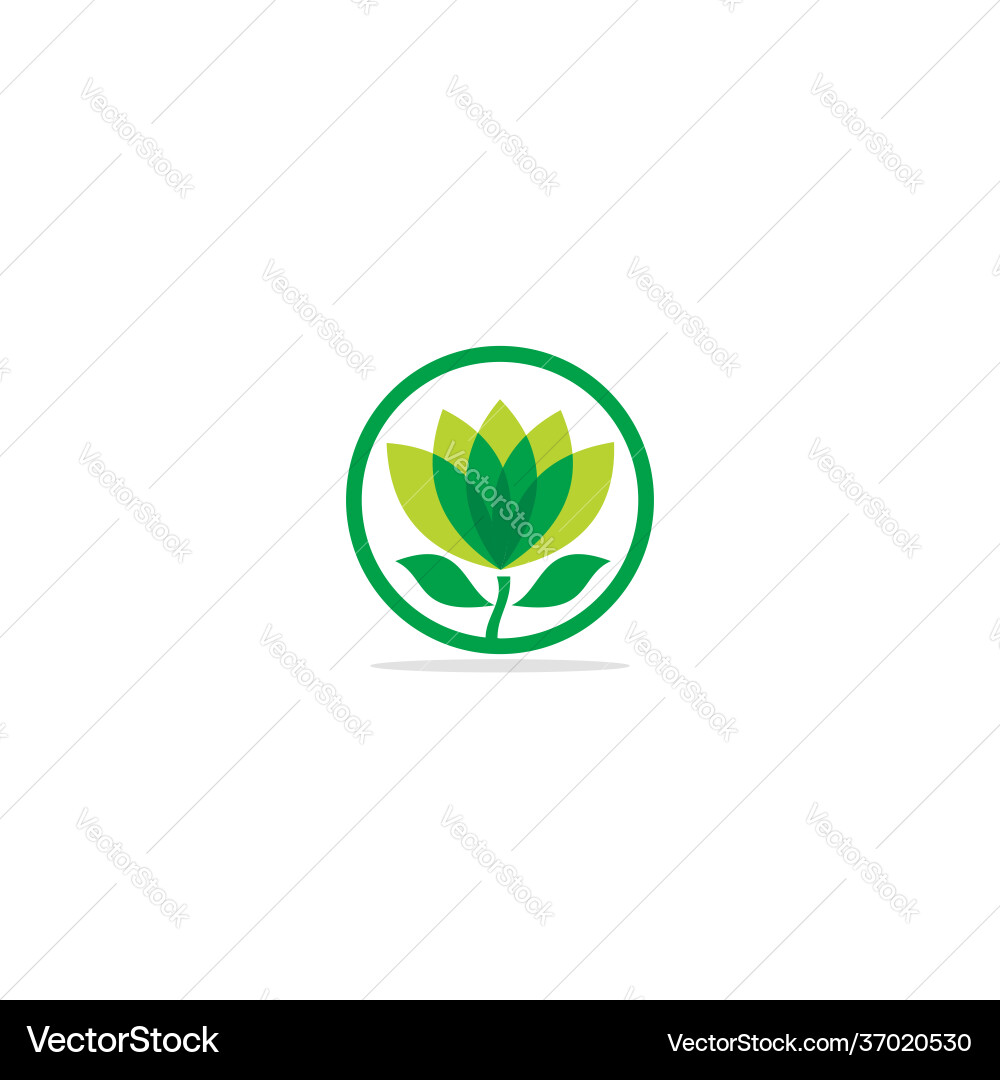 Plant flower eco botany logo Royalty Free Vector Image