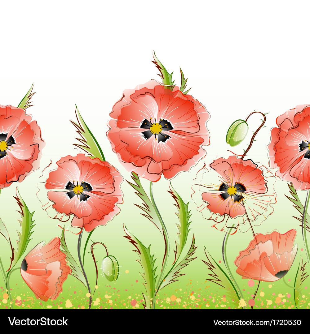 Red poppy flowers seamless texture Royalty Free Vector Image
