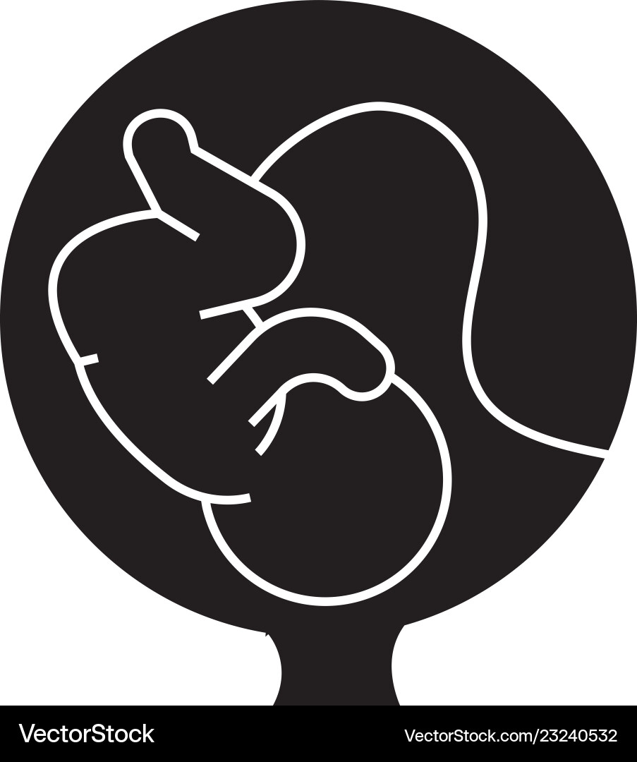 Fetal development black concept icon Royalty Free Vector