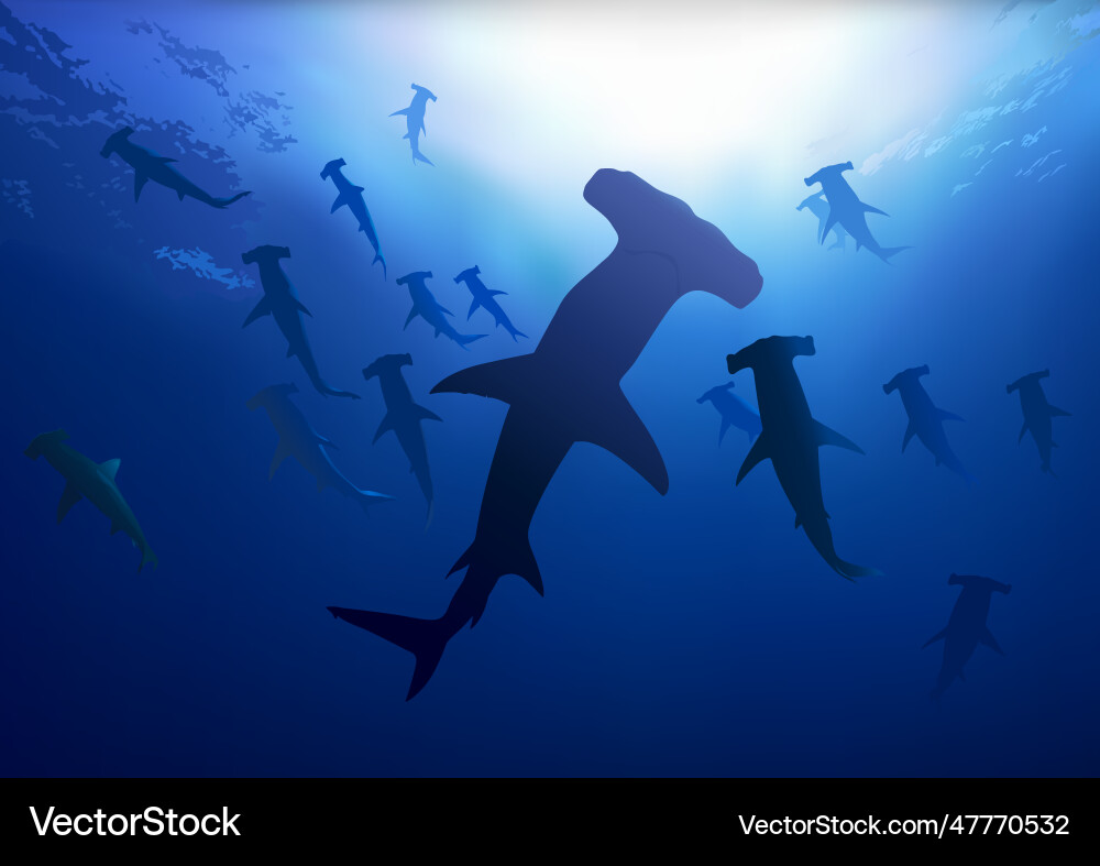 Hammerhead Vector Onderwater Wereld Met Een Grappige Vis En Hammerhead