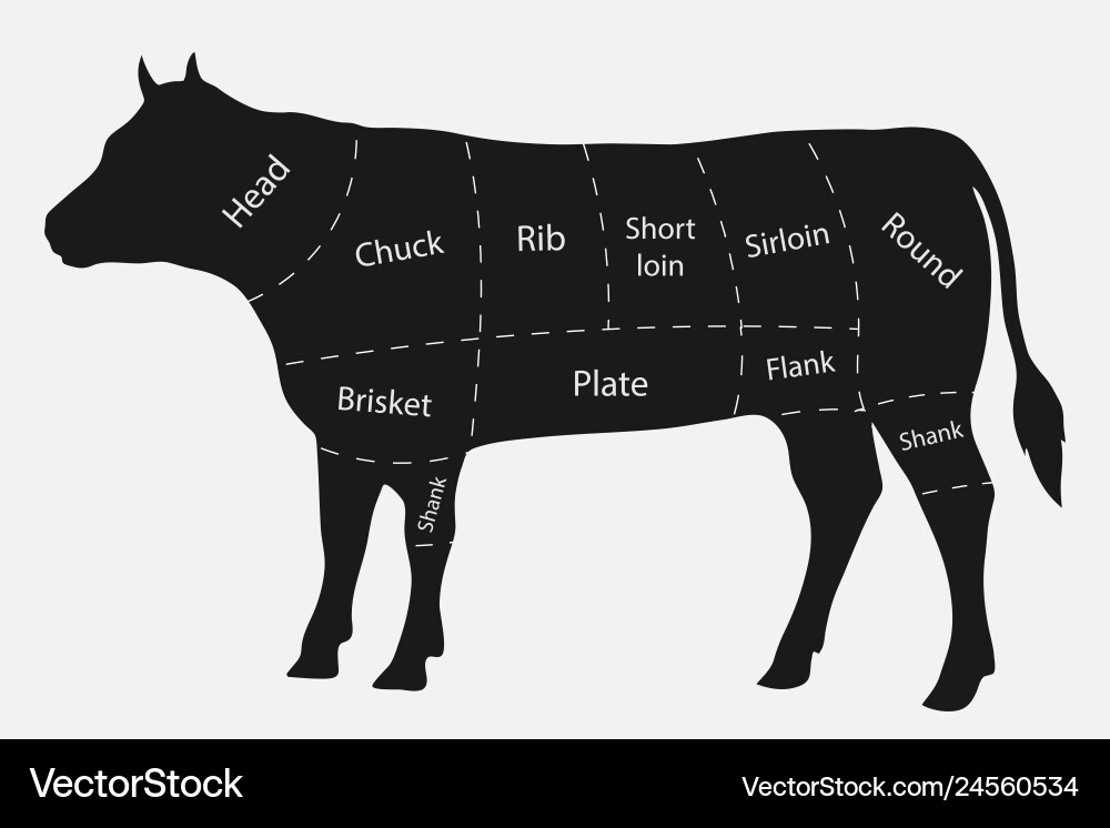 Beef Cuts Diagram Royalty Free Vector Image - VectorStock