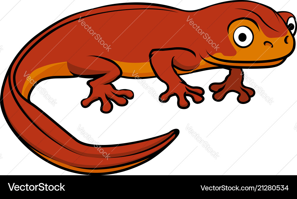 Cartoon newt Royalty Free Vector Image - VectorStock