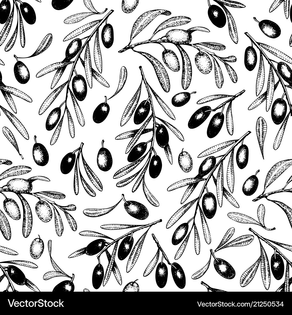 Olive tree seamless pattern vintage Royalty Free Vector
