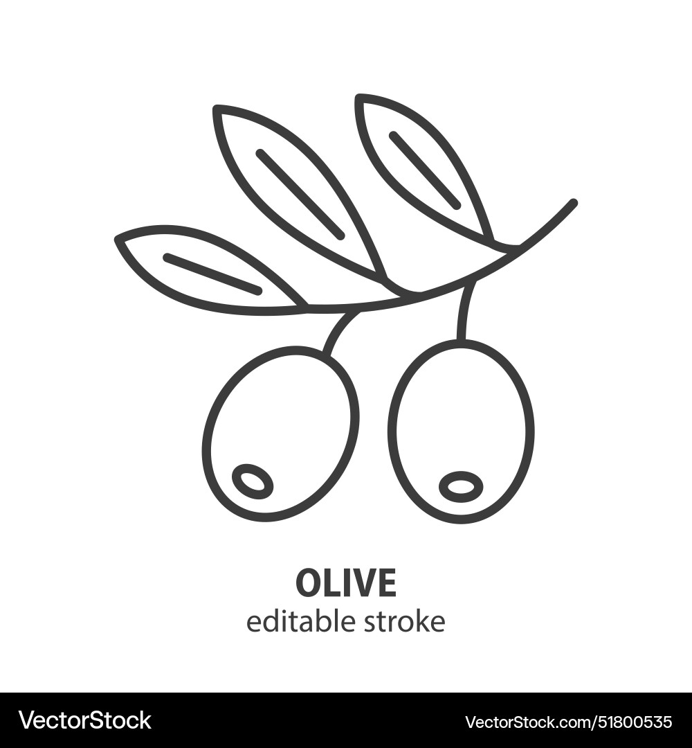 Olive branch line icon symbol oil Royalty Free Vector Image