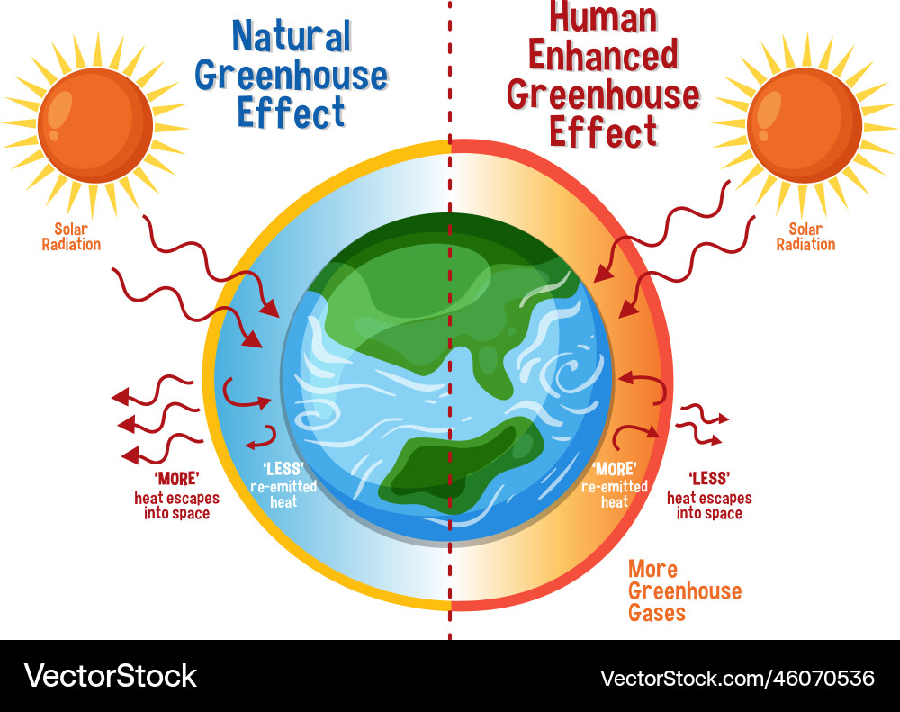 Diagram showing the greenhouse effect Royalty Free Vector