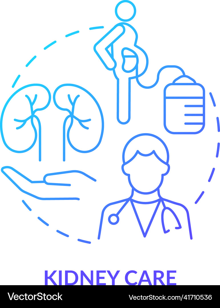 Kidney care blue gradient concept icon Royalty Free Vector
