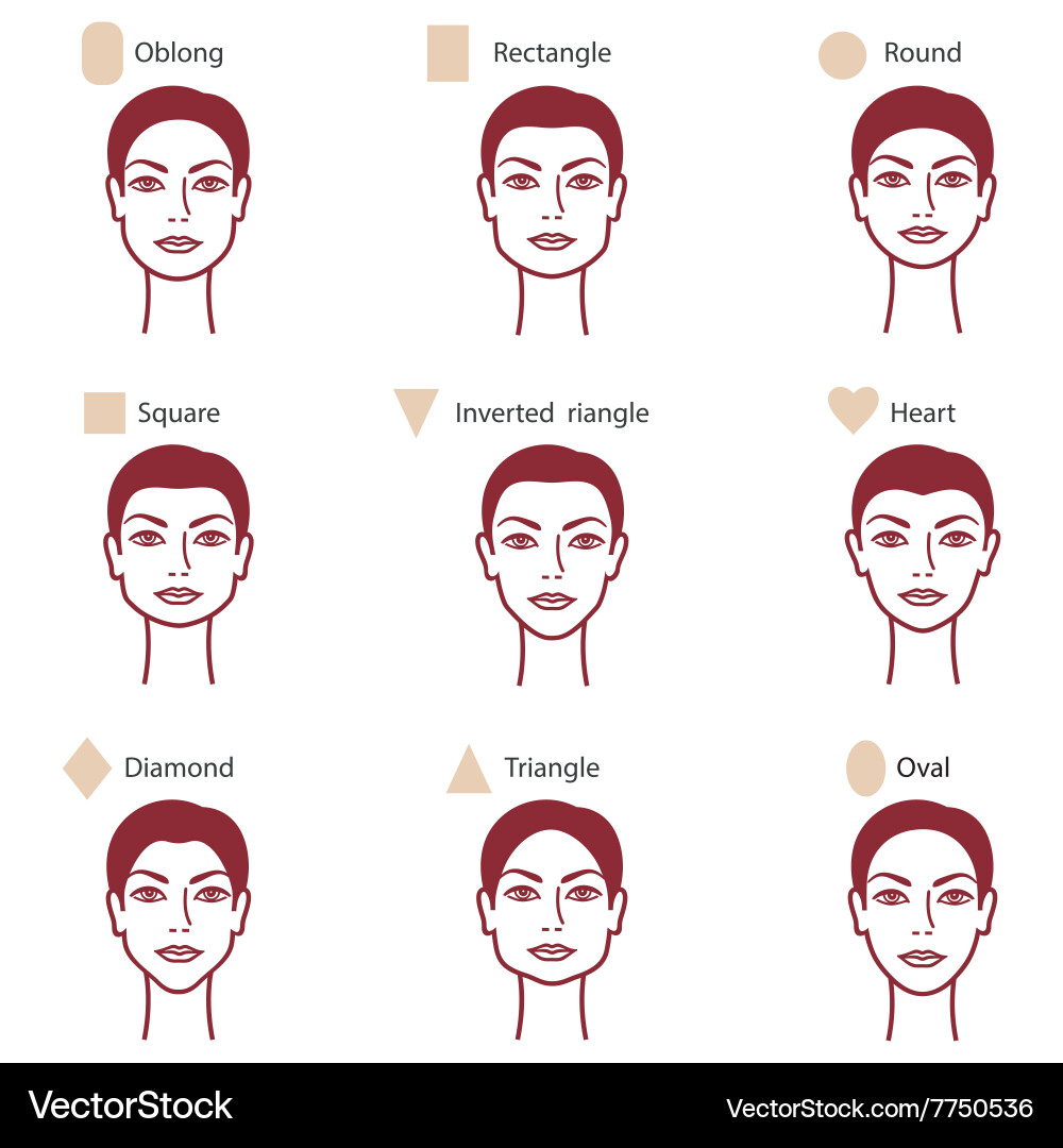 Types of face Royalty Free Vector Image - VectorStock
