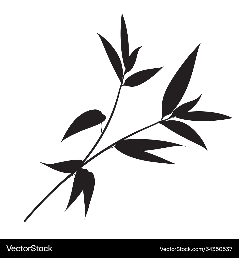 Decorative bamboo branches isolated on white Vector Image