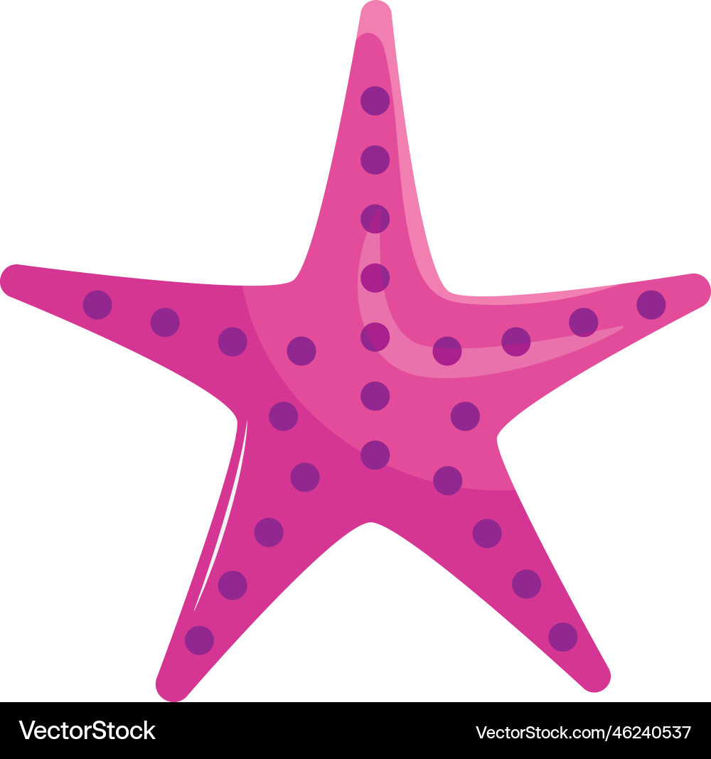 Pink starfish animal Royalty Free Vector Image