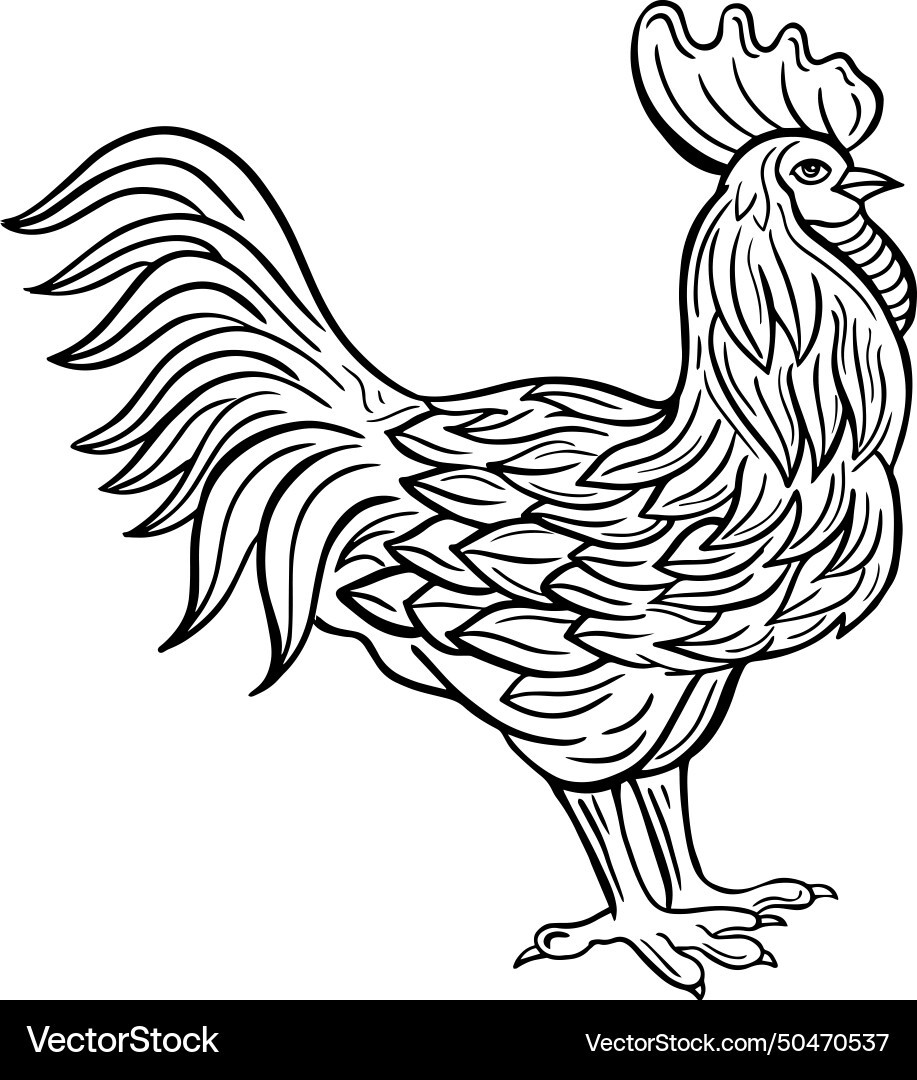 Rooster hand drawn engraved sketch drawing Vector Image