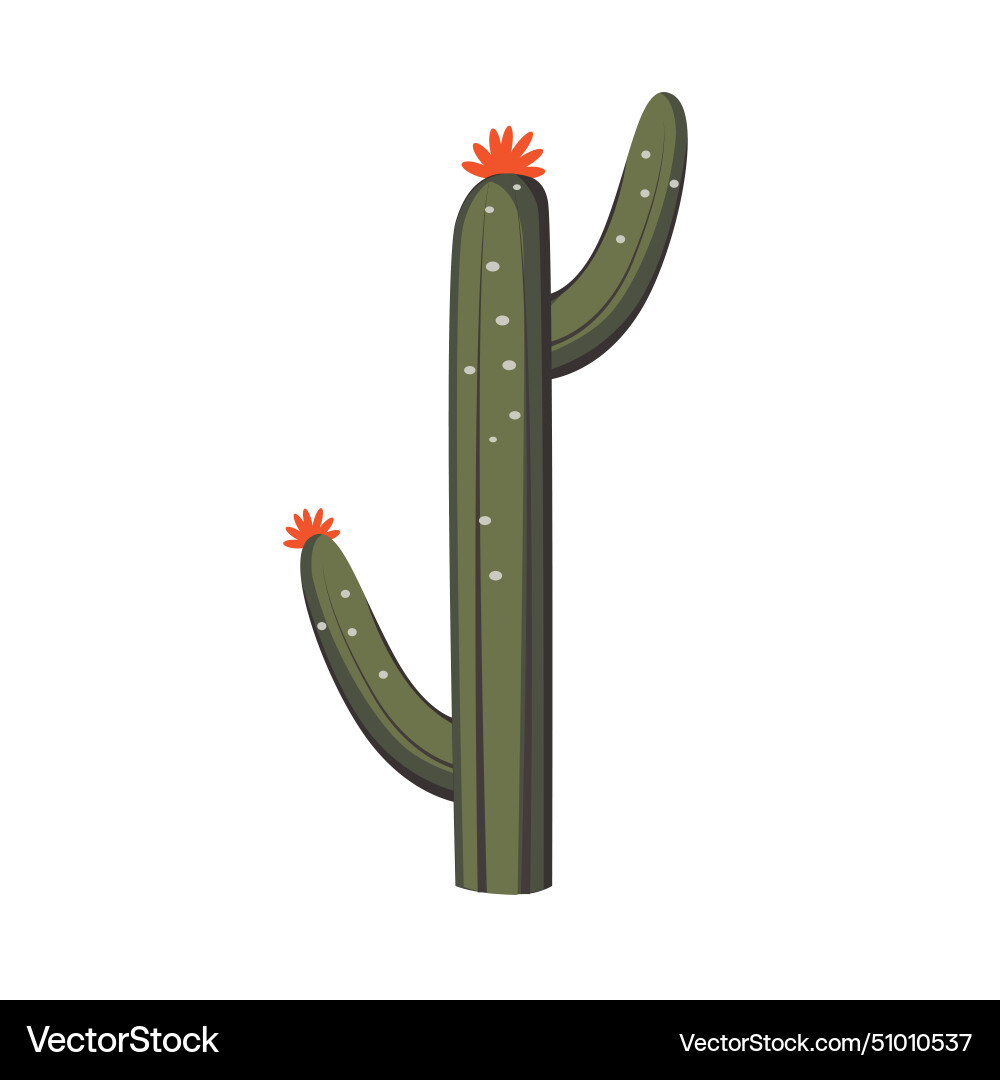 Simple cactus tree cacti Royalty Free Vector Image
