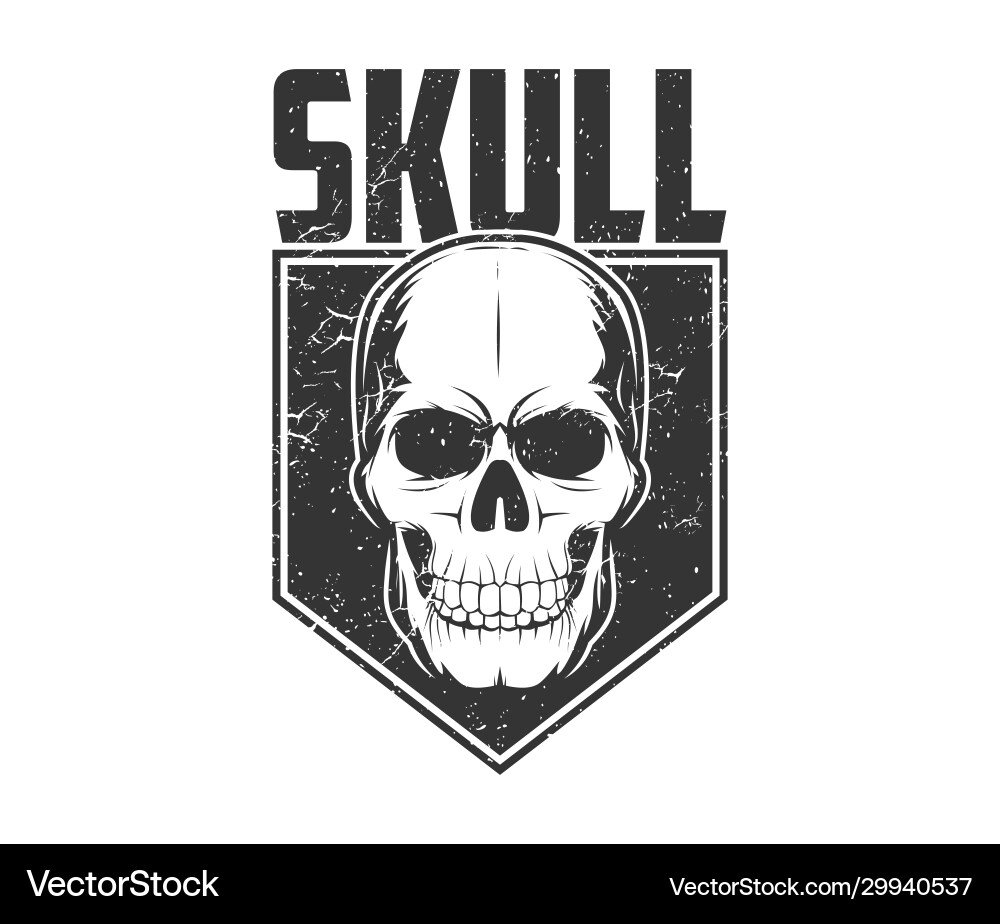 Skull logo Royalty Free Vector Image - VectorStock