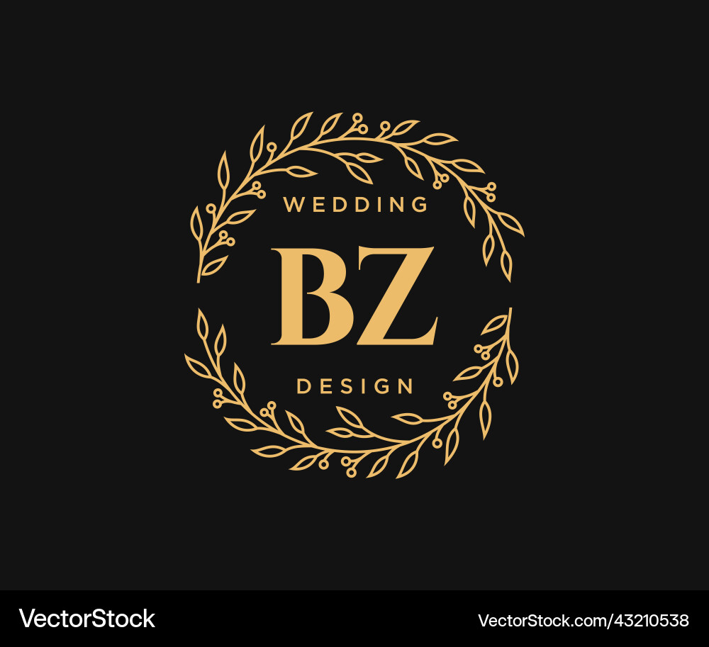 Bz initials letter wedding monogram logos Vector Image