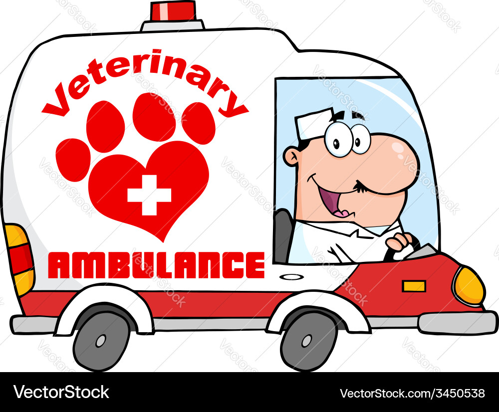Cartoon vet Royalty Free Vector Image - VectorStock