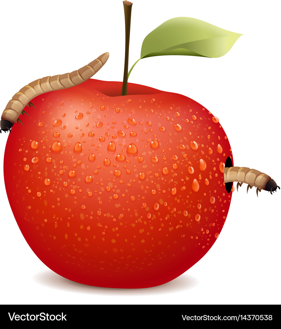 Red apple with two worms Royalty Free Vector Image