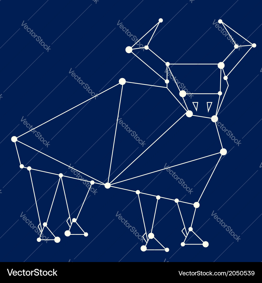Taurus zodiac sign Royalty Free Vector Image - VectorStock