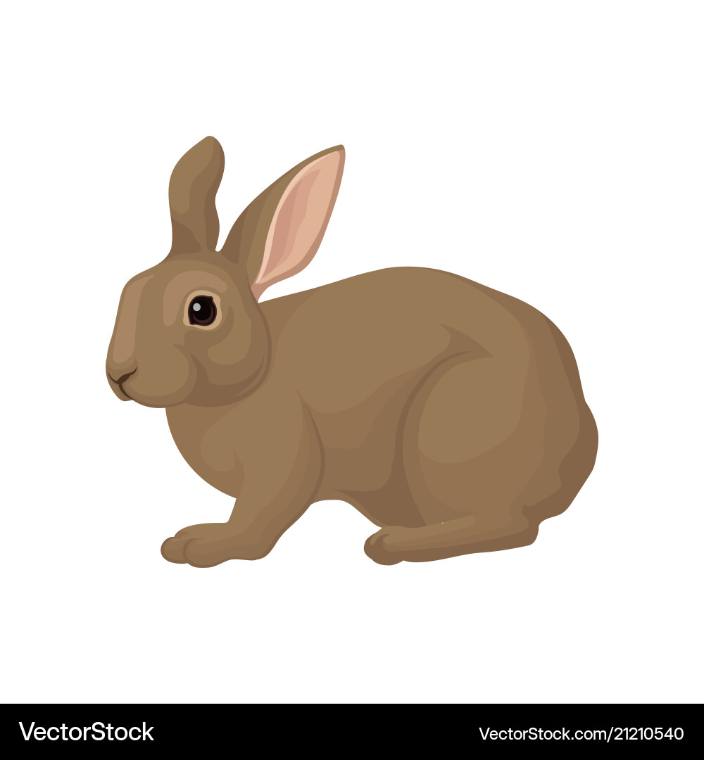 Cute Brown Rabbit Cartoon Royalty Free Vector Image