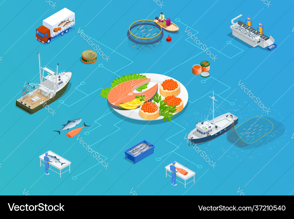 Isometric fish industry seafood concept Royalty Free Vector