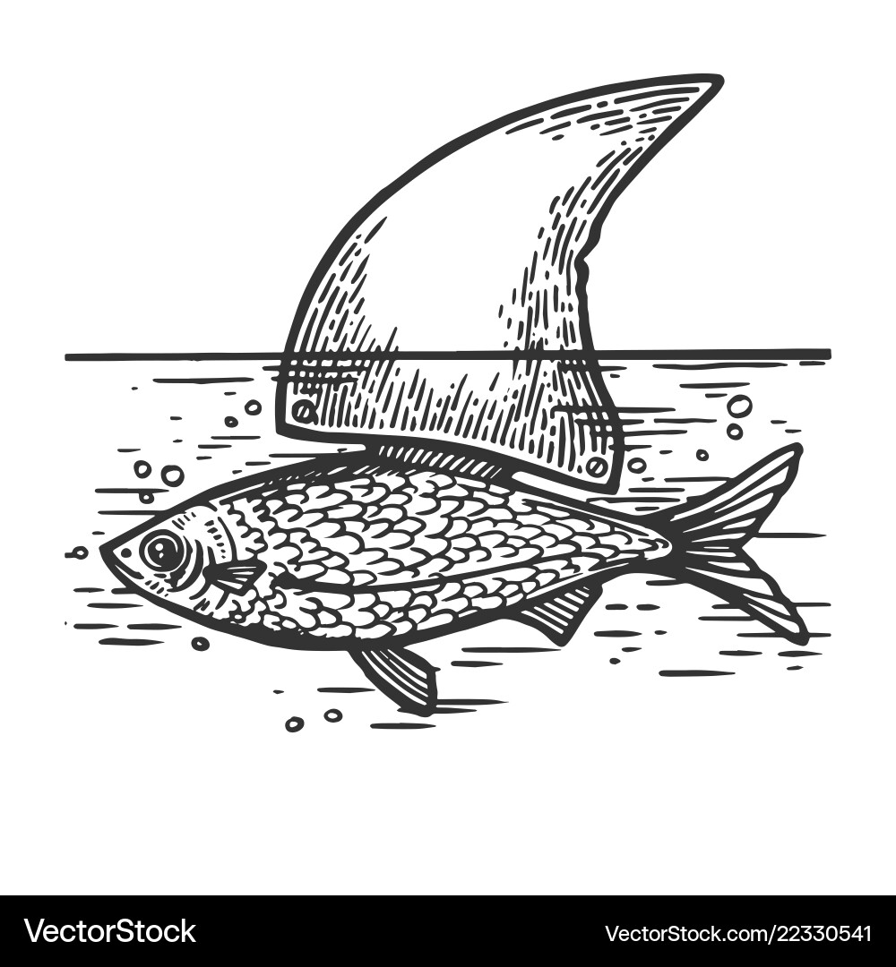 Fish with shark fin engraving Royalty Free Vector Image