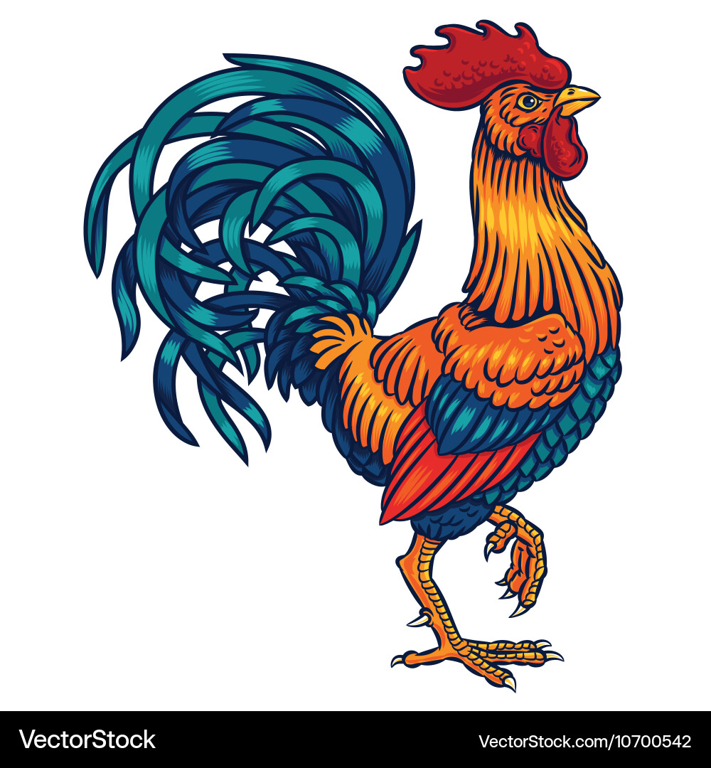 A rooster Royalty Free Vector Image - VectorStock