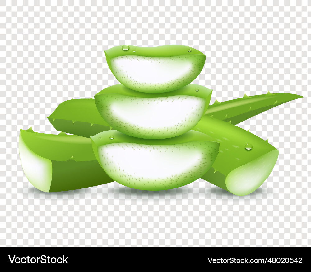 Aloe vera big set and isolated transparent Vector Image